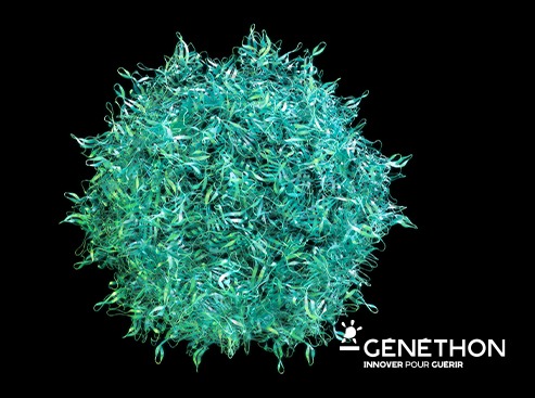 The road toward a new generation of gene therapy vectors - Genopole